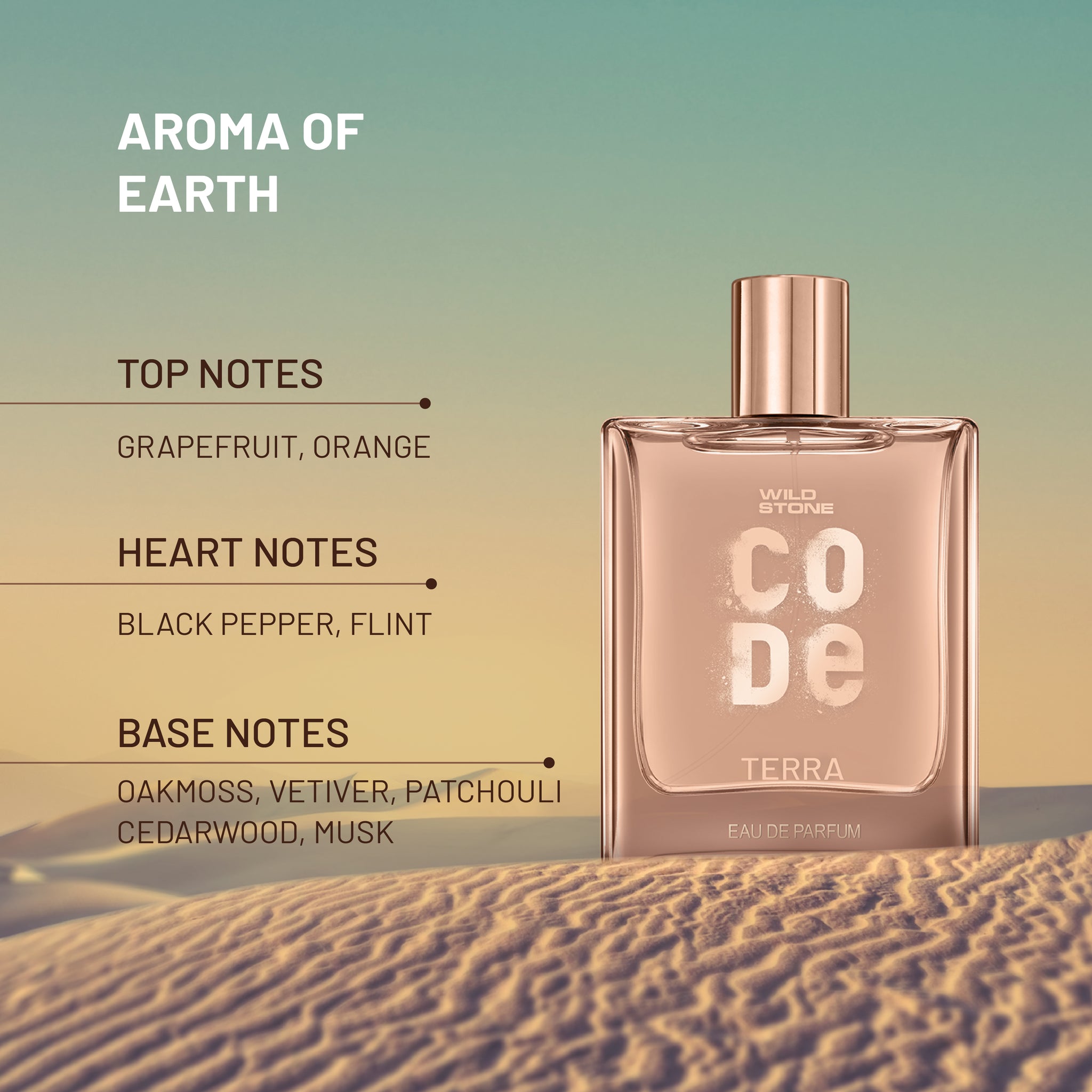 CODE Terra Perfume for Men 100 ml | Wild Stone CODE