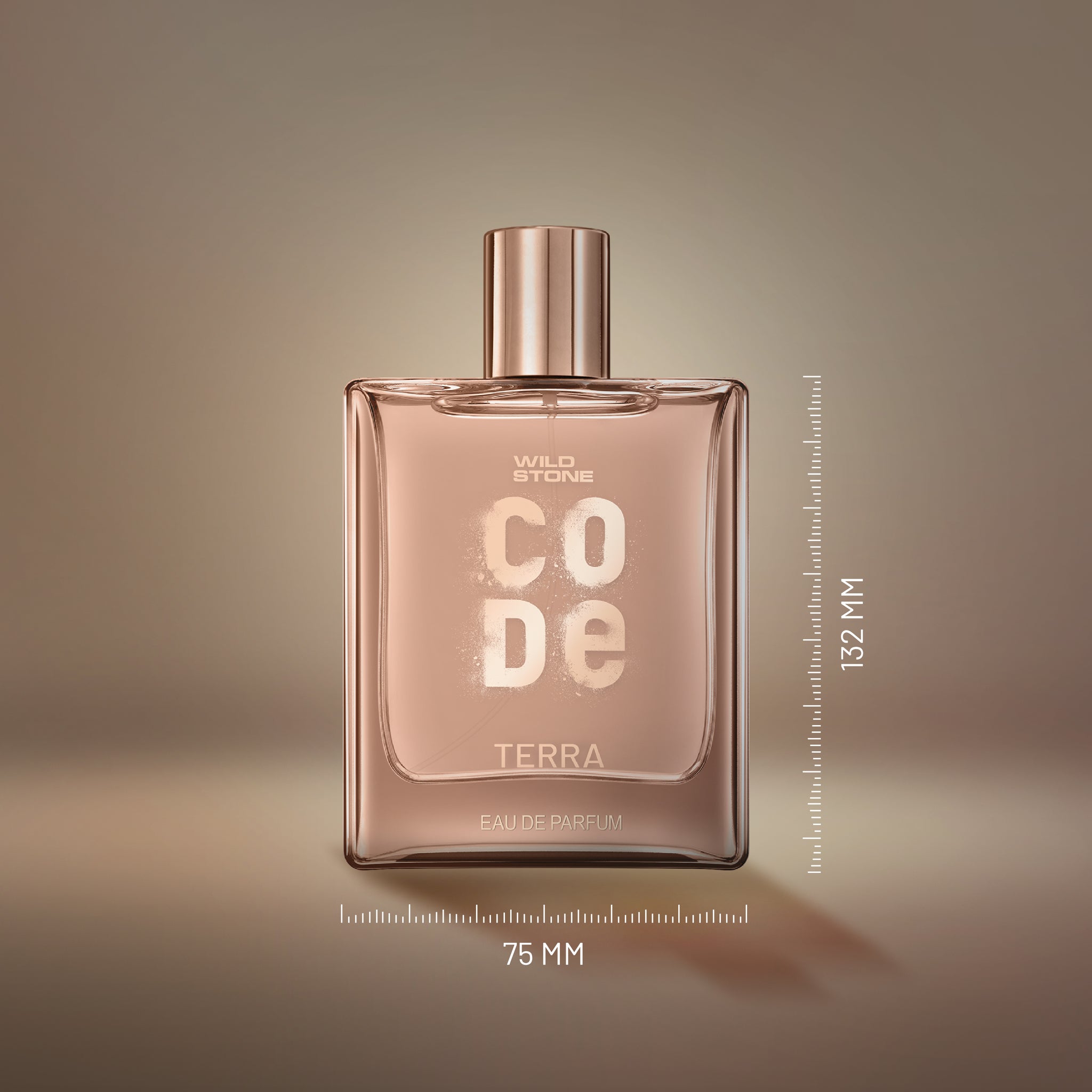 CODE Terra Luxury Perfume for Men 100 ml | Wild Stone CODE